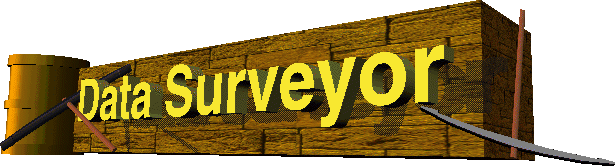 Data Surveyor