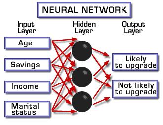 How Neural Networks Learn